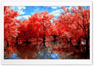 SUMAYAW, SUMABAY + WALA NANG HAHANAPIN PA โดย Malayang Pilipino – เนื้อ ...